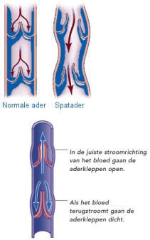 Ziekenhuis St Jansdal