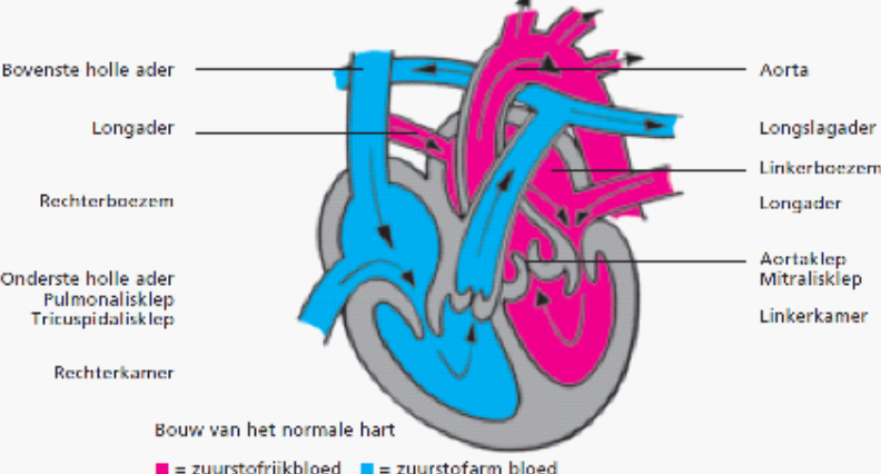 Ziekenhuis St Jansdal